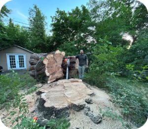 J.M. Tree Service - Certified Arborist | Rochester NY